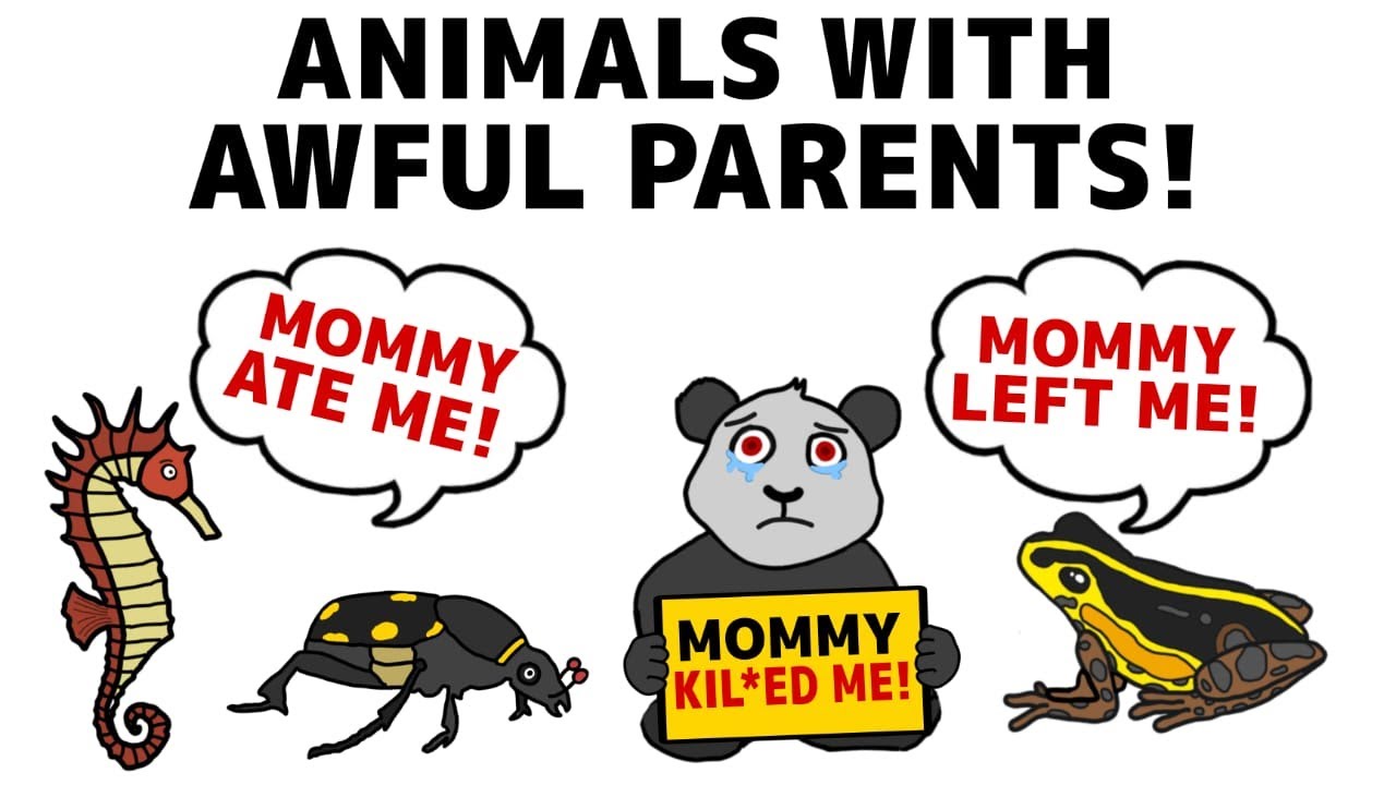 These Animals Have The WORST Parents Ever! - YouTube