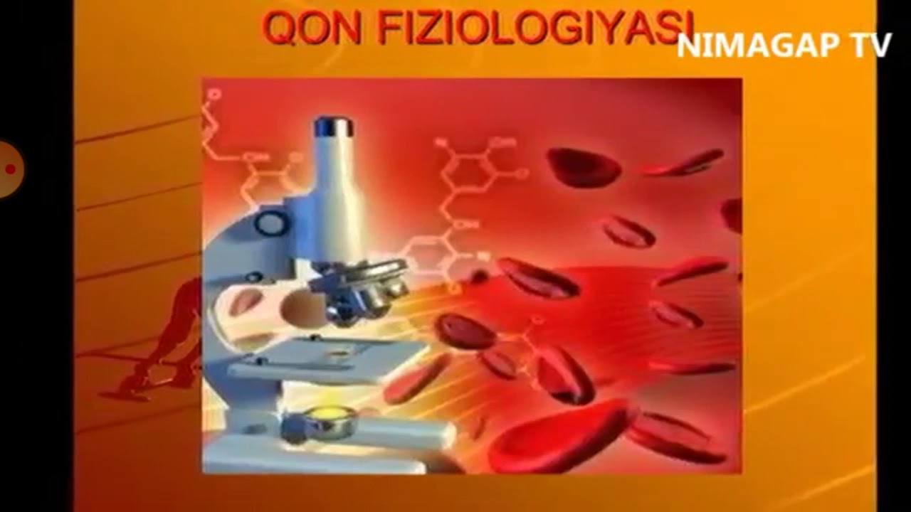 Qon va uning tarkibi haqqida. like va ubuna bulishni unutmang. - YouTube