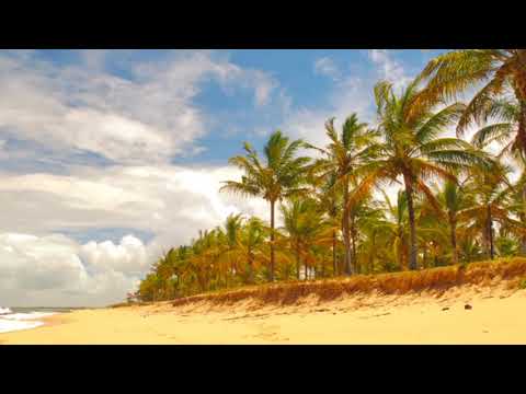 Classitur  Vende - Terreno  Caraíva  Bahia