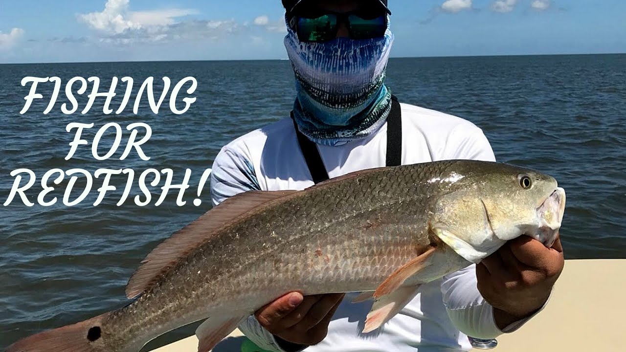 Fishing mangroves for red fish. - YouTube
