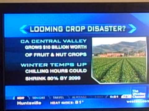 The Weather Channel Part 1 - YouTube