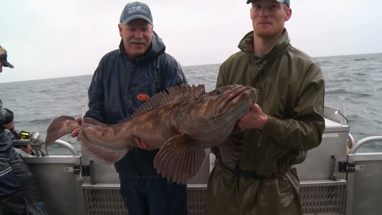 Alaskan Lingcod and Rockfish Highlights - YouTube