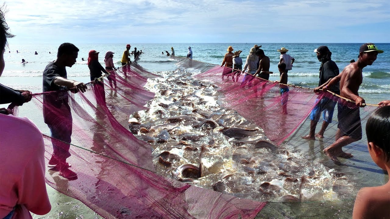 Everyone should watch this Fishermen's video - Most Satisfying Big ...