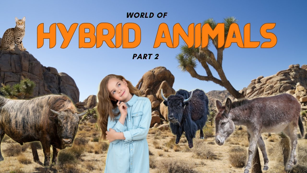 Mix and Match Marvels | Hybrid Animals Part-2 | Combo | Animals ...