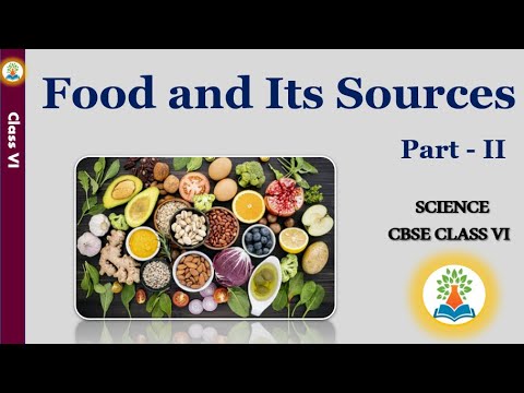 Food and Its Sources | What is food and sources of food? What are the 5 ...
