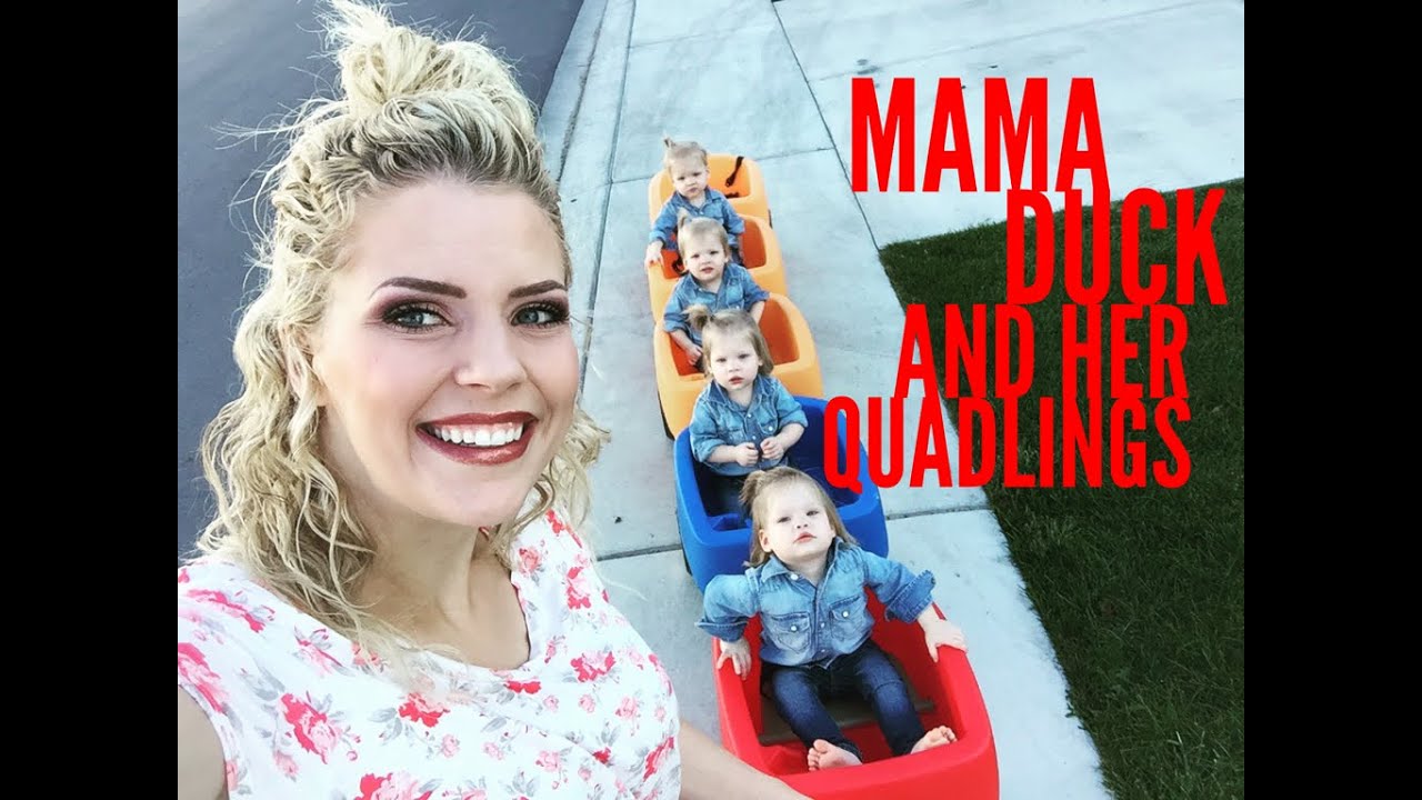 MAMA DUCK AND HER QUADLINGS - YouTube