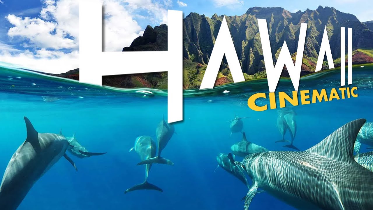 Hawaiian Roller Coaster Ride | Hawaii Cinematic 4K Video 2024 - YouTube