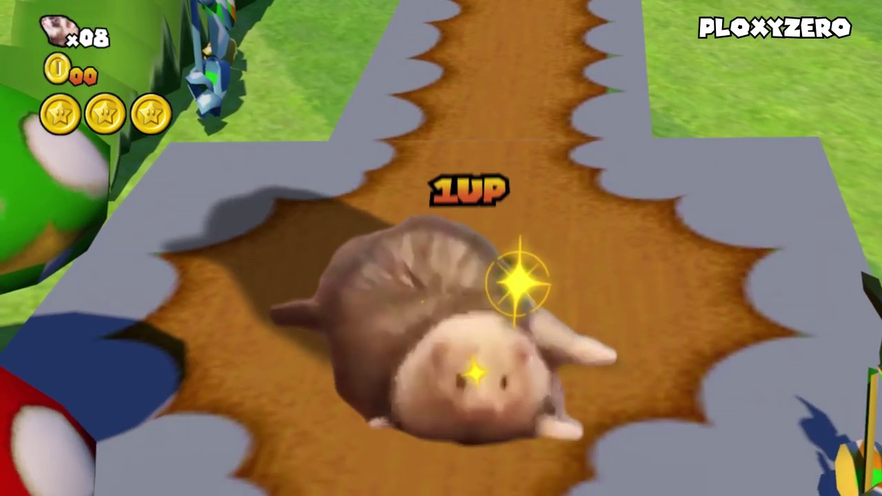 New Super Ferret Bros - YouTube