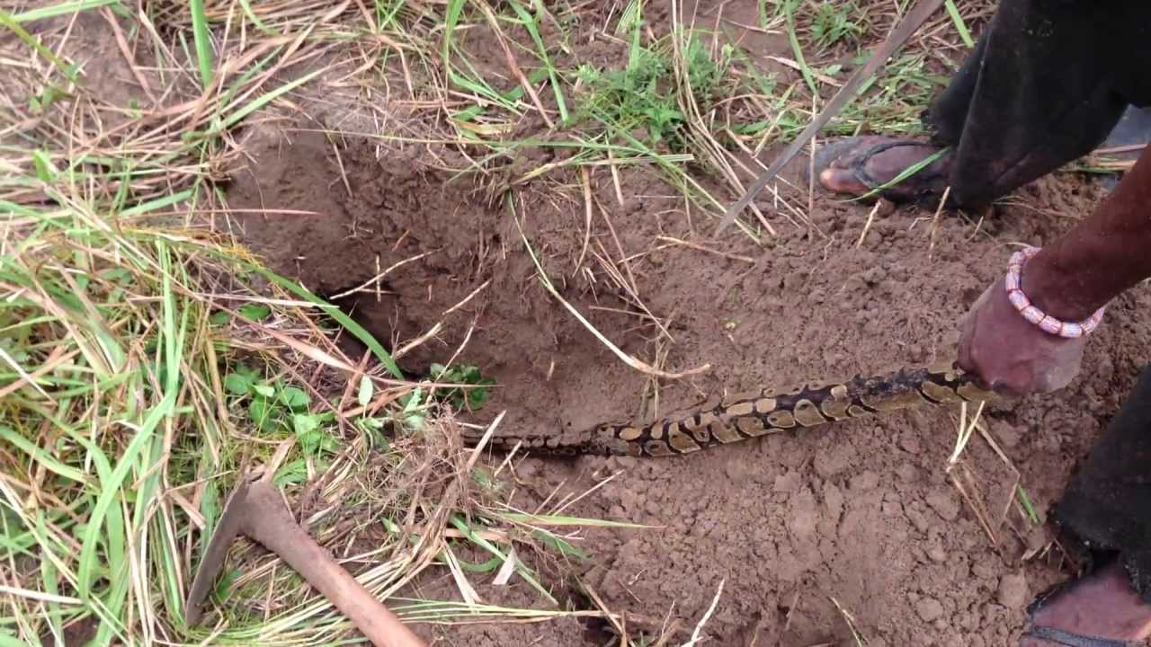 Ghana Tour 2013 - Digging for gold - YouTube