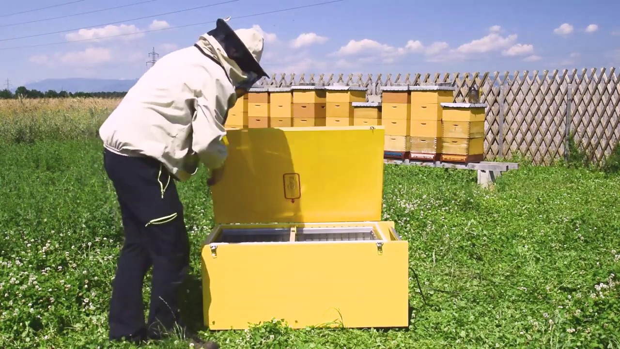 Der neue Varroa Controller VC03 im praktischen Einsatz - YouTube