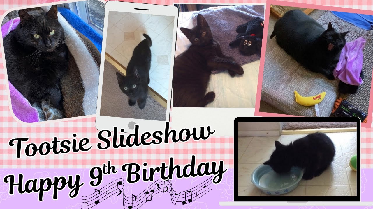 Tootsie Slideshow (Happy 9th Birthday) - YouTube
