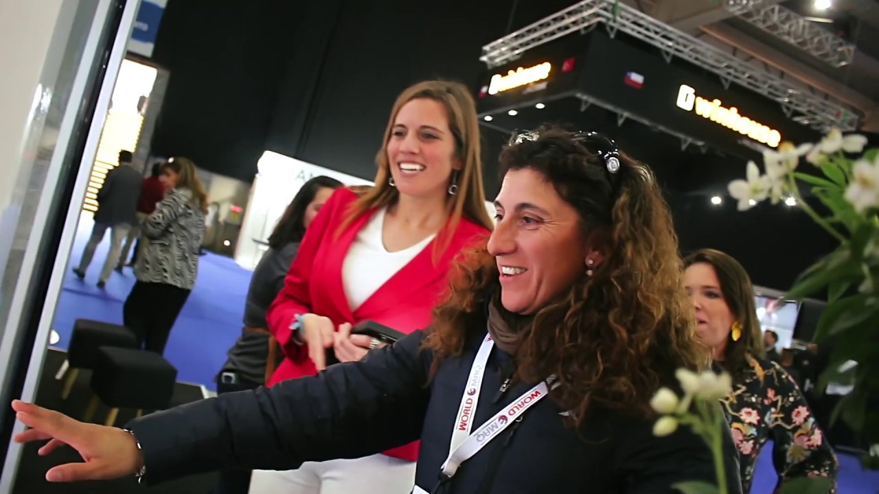 Pabellón Suizo en la ExpoEdifica 2019 - YouTube