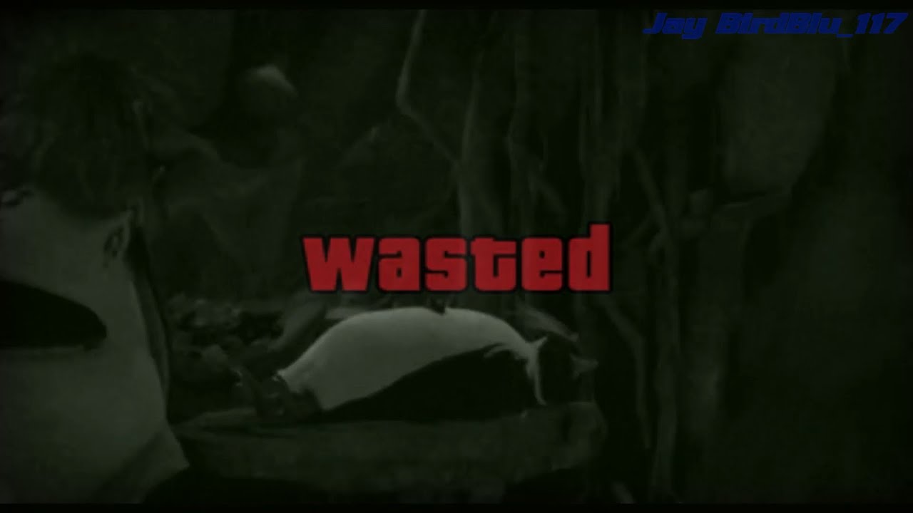 Surf's Up | Geek's Fun Time with Cody [Random] [HD] - YouTube