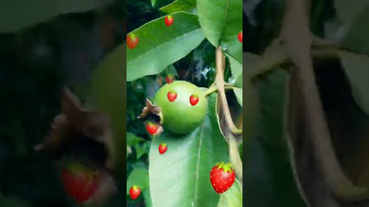 💕💕💕💕💕💕💕💕💕💕💕💛💛💛💛💛💛💛🧡🧡🧡 ️ ️ ️💚💚💙💙💙💙💚 - YouTube