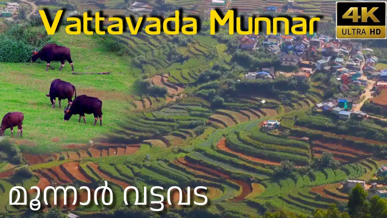 Vattavada Munnar | vattavada road trip | Pampadum Shola National Park ...