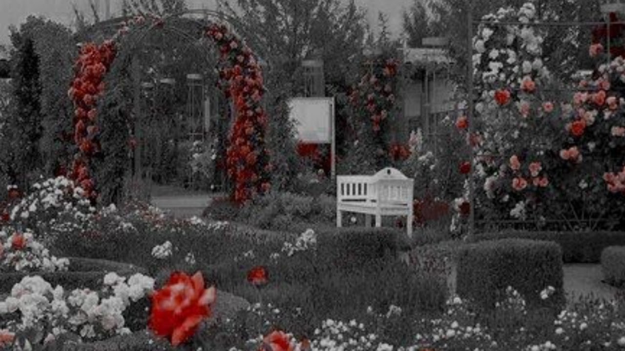 hey guys today - YouTube