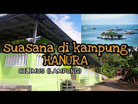 SUASANA DESA HANURA, CILIMUS (LAMPUNG SELATAN) - YouTube