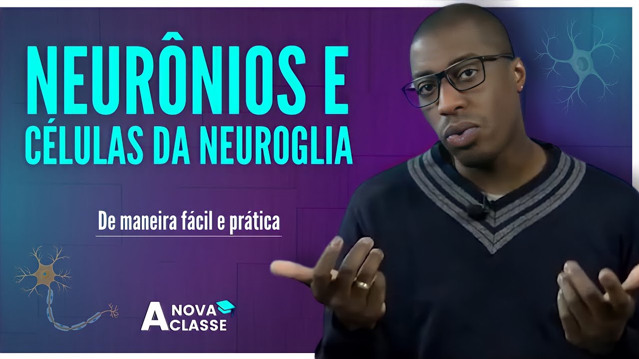 ENTENDA de uma vez como funciona a NEUROANATOMIA BÁSICA - YouTube