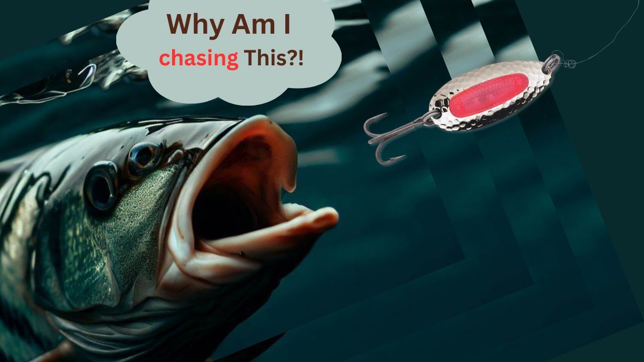 The Art and Science of Fishing: Strike Patterns (underwater strikes ...