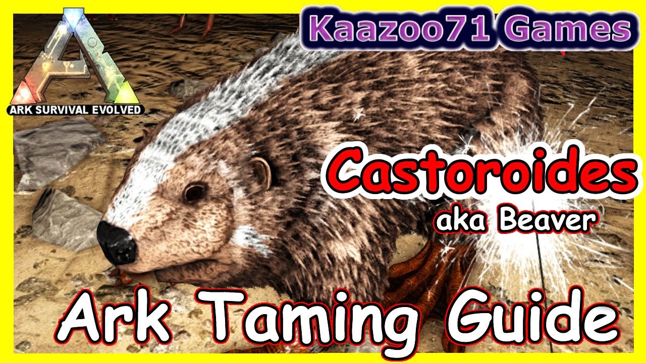 How to Tame a Beaver Ark 💥- Castoroides - YouTube