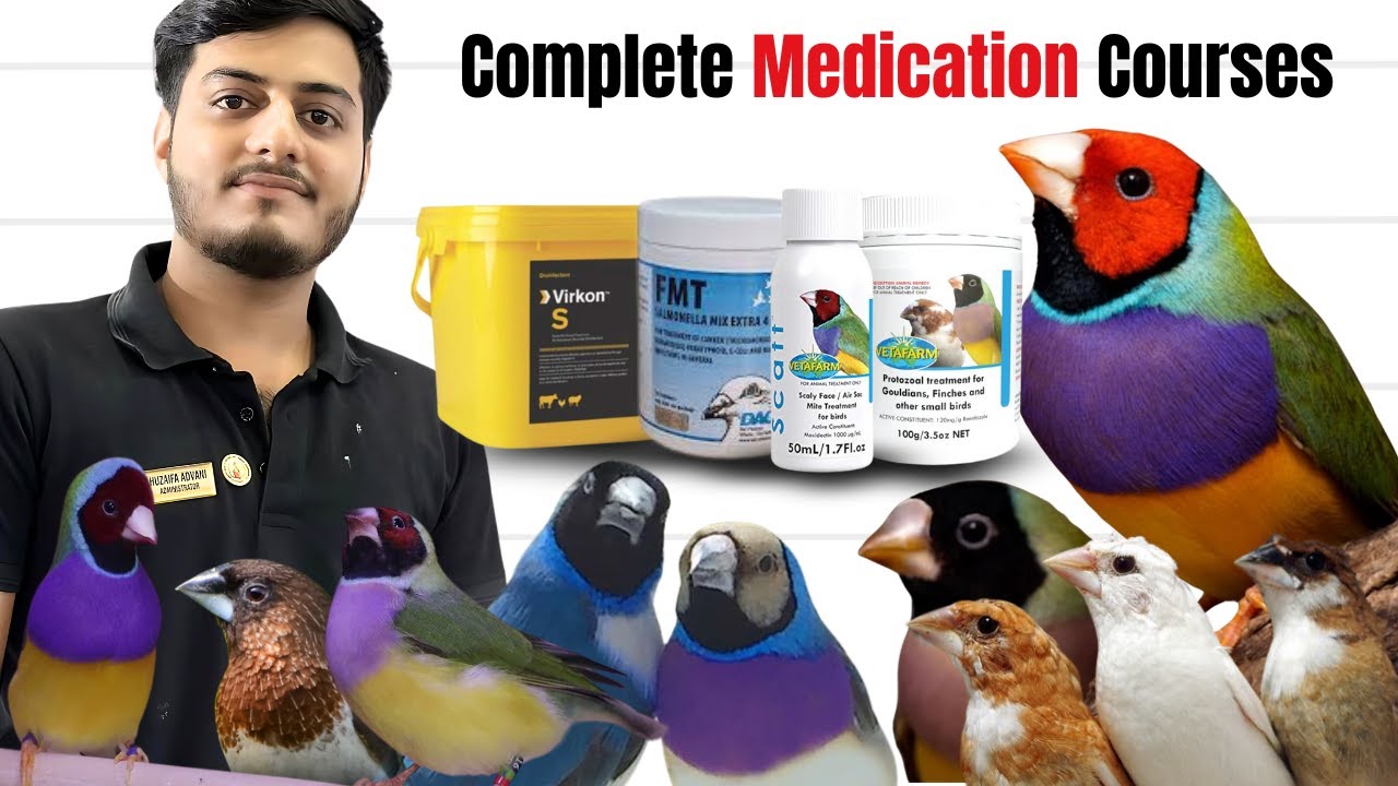 New Startup of Foster - Complete Medication Courses - YouTube