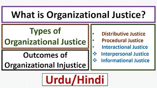 What is Organizational Justice? Types of Organizational... | Doovi