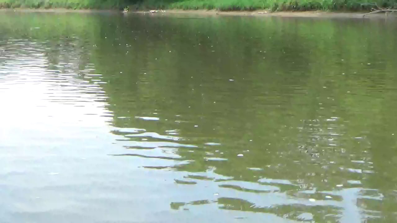 Kayaking Allegany River Killbuck, NY - YouTube