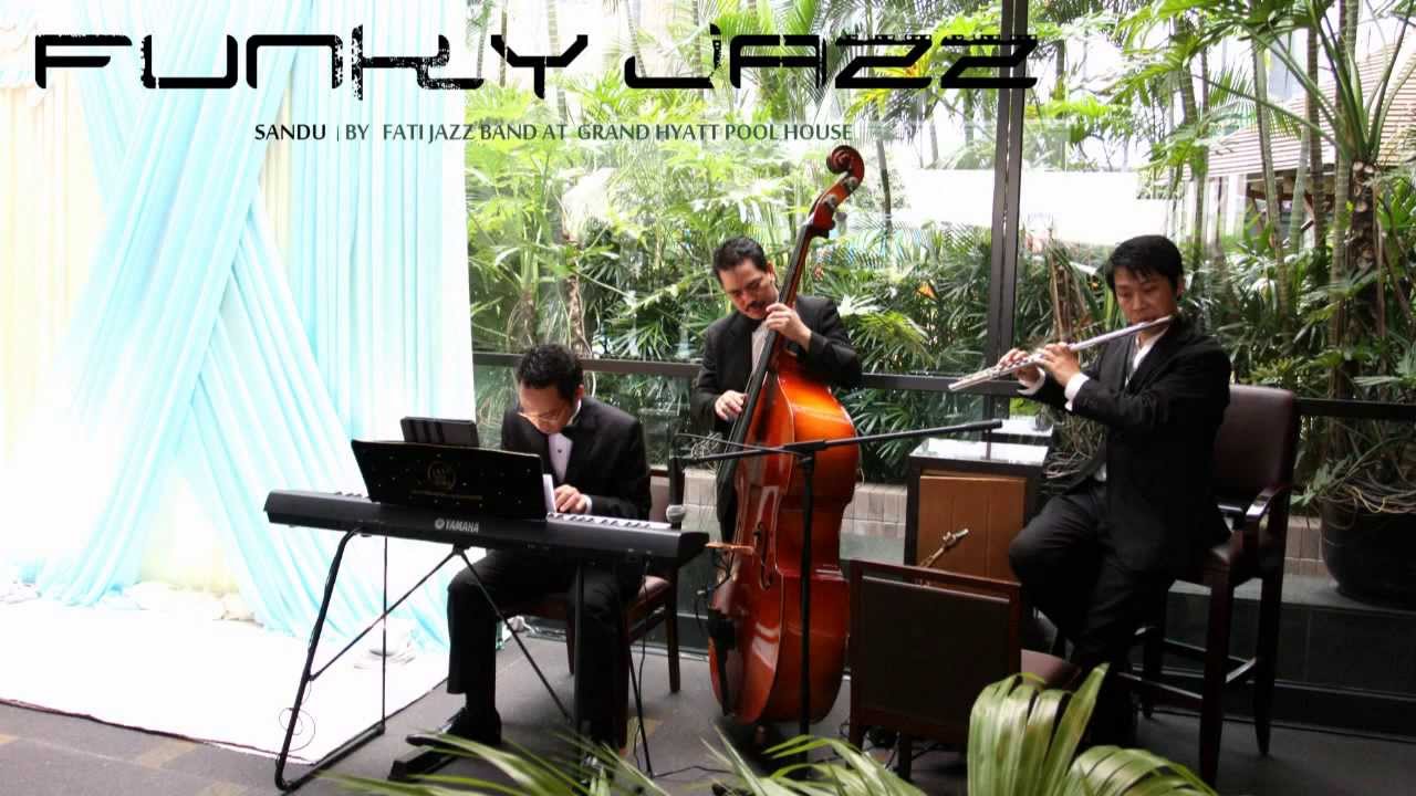 Sandu - Grand Hyatt Hotel FUNKY JAZZ music show! by Fati live wedding ...