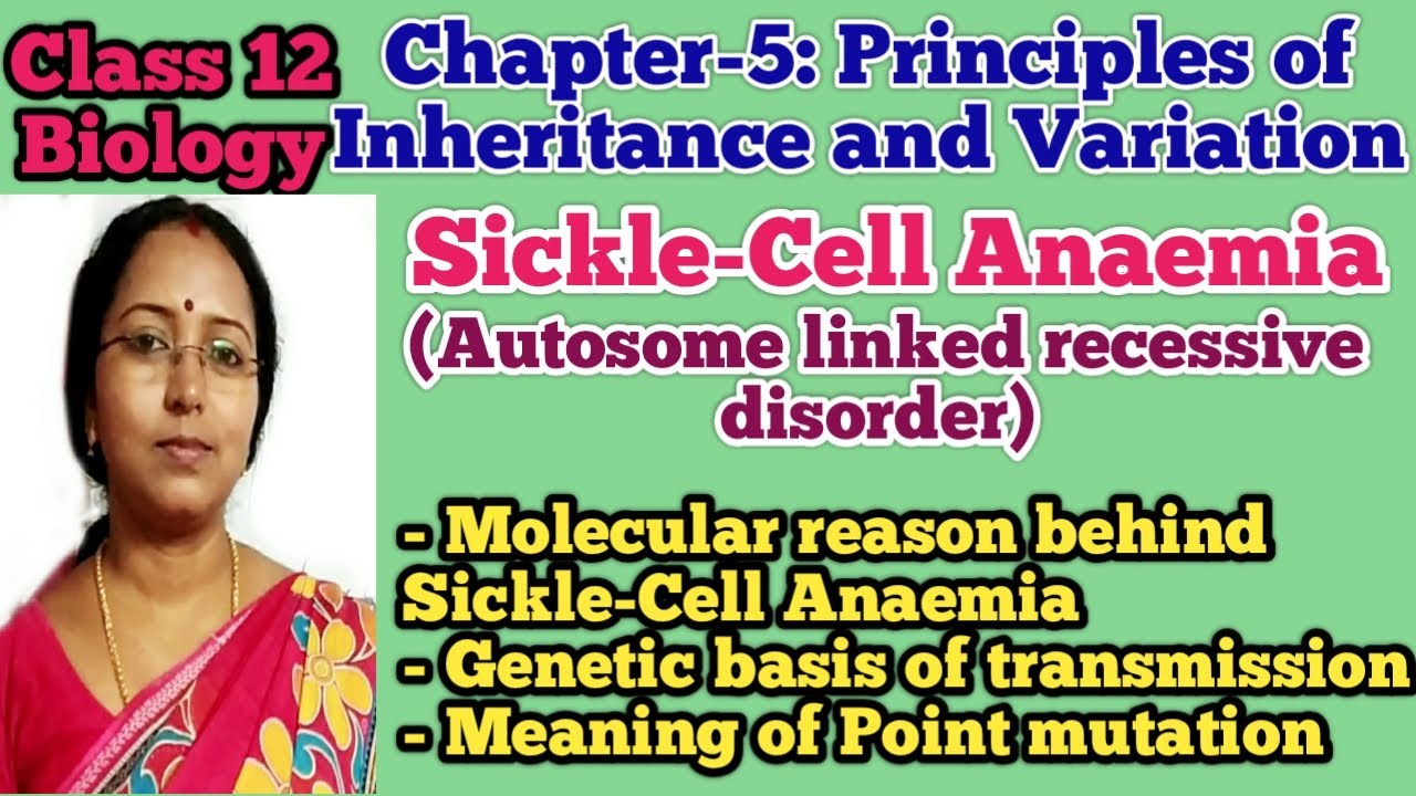 Sickle cell Anaemia | Principles of Inheritance and Variation | Class ...