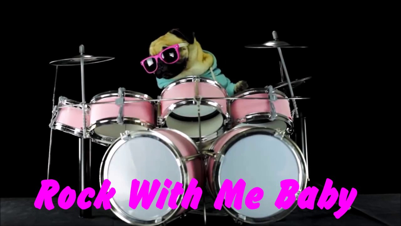 This Dog Rocks On The Drums - Rock With Me Baby - YouTube
