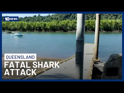Queensland Spearfisherman Killed During Shark Attack At Popular Fishing Spot | 10 News