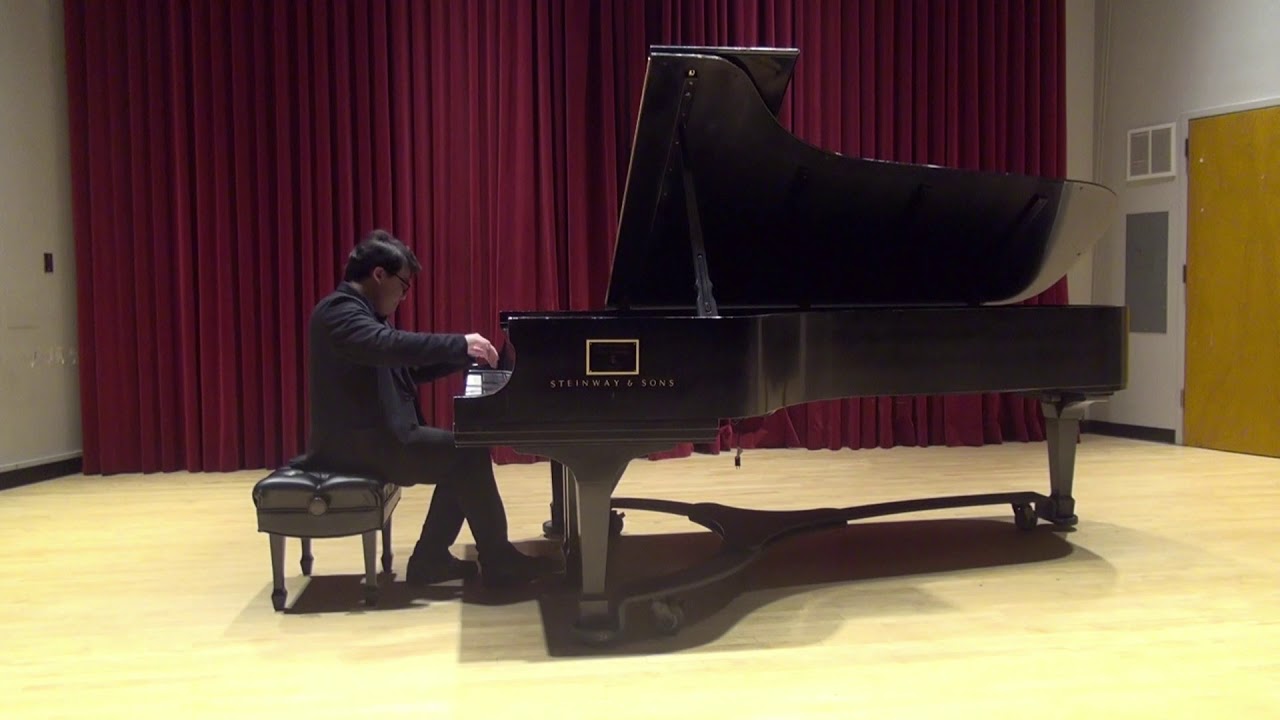 Schumann - Waldszenen (Forest Scenes), Op 82, Tong Liu - YouTube