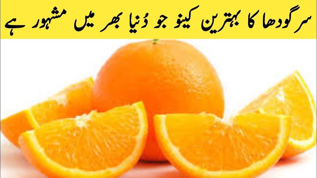 Export quality Pakistani Sargodha kinnow || kinnow season 2024-25 ...