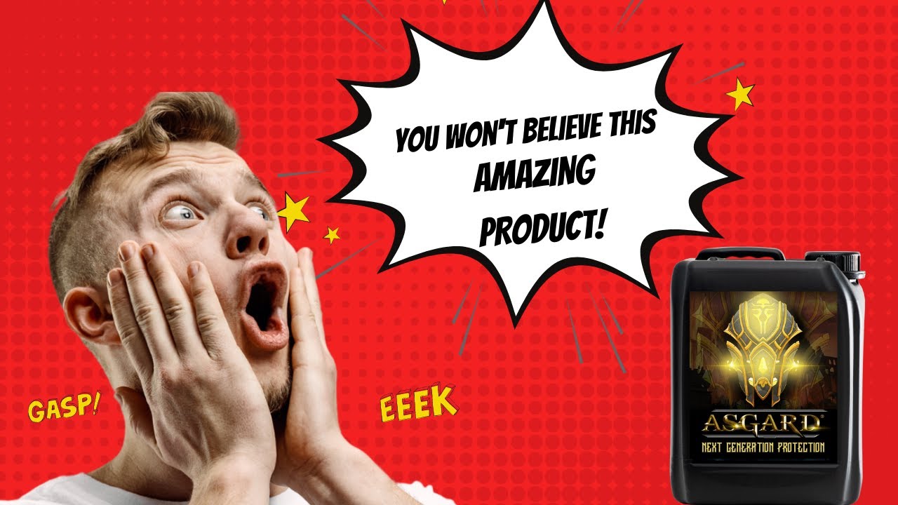 Best carpet protector? Asgard next generation protection 👊 - YouTube