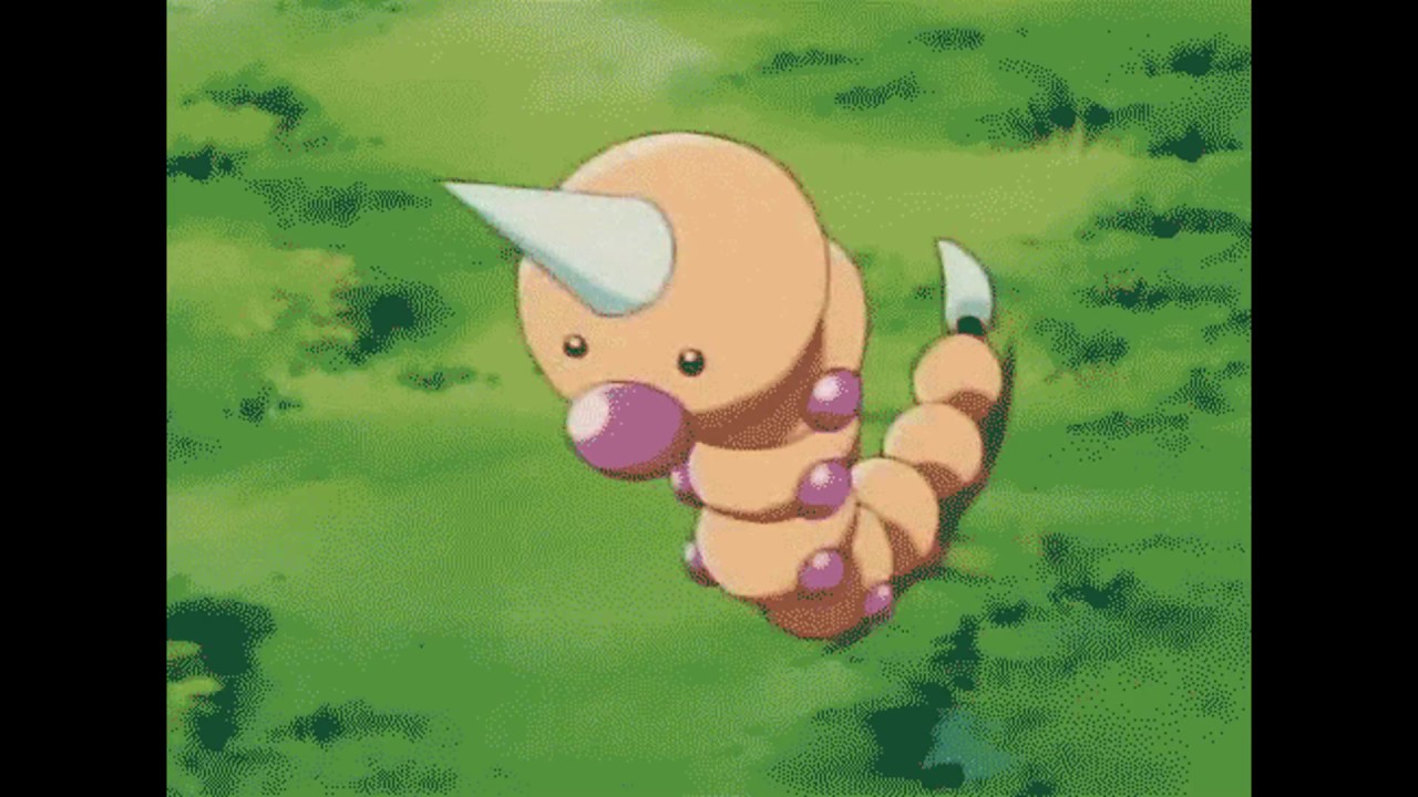 Weedle - Pokémon - YouTube