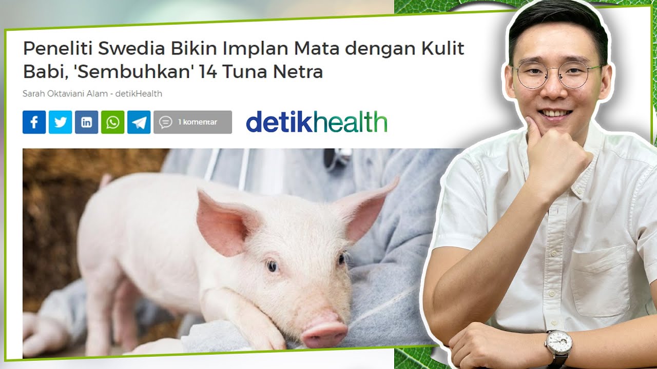 Implan Mata dari Kulit Babi Sembuhkan 14 Tuna Netra - YouTube