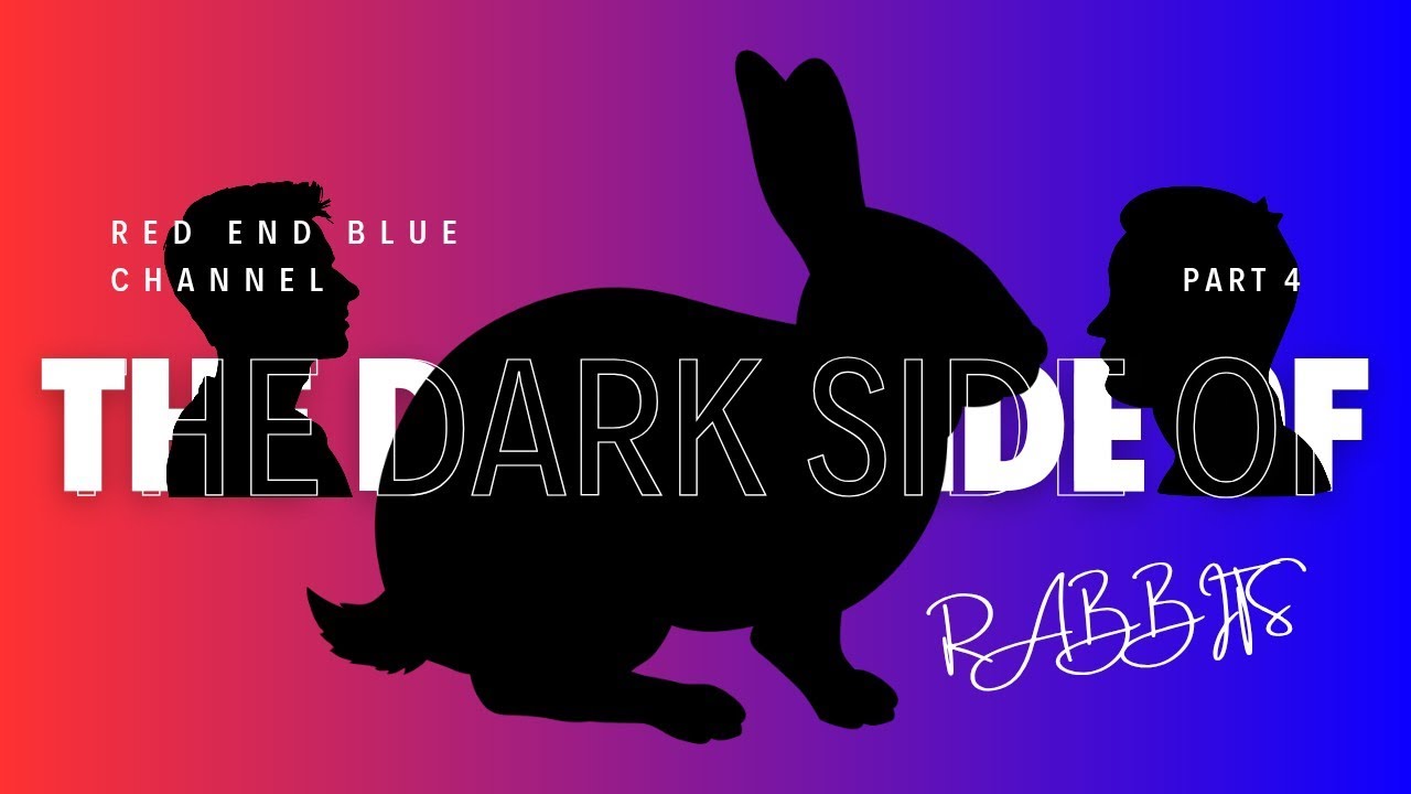The Dark Side of Rabbits: Shocking Facts You Never Knew! - YouTube