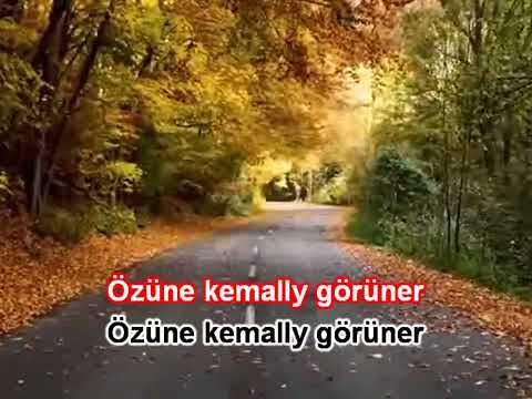 Donly Görner karaoke toy version (2022)