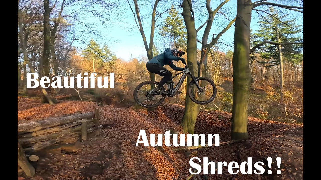 Beautiful Atumn MTB SHREDS!! - YouTube