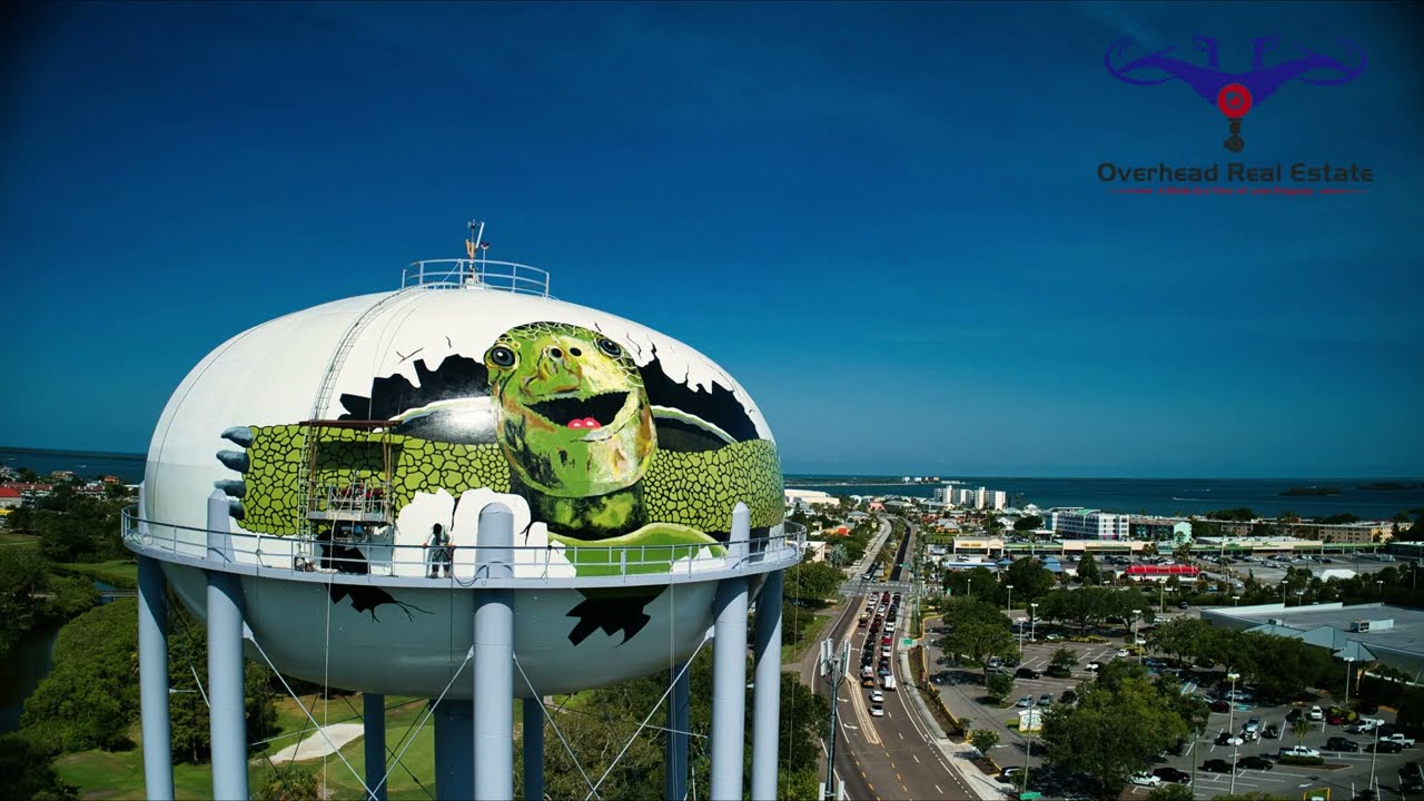 Artist Tom Stovall painting Turtles on Dunedin Curlew Water Tower 4K ...