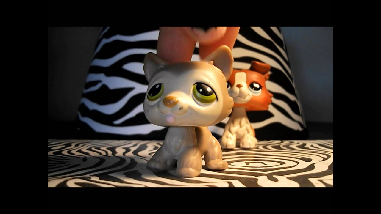 LPS Series Ideas!!! (VOTE PLEEASE) - YouTube