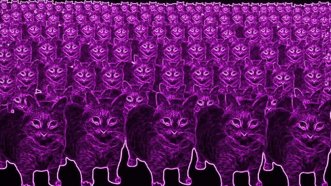 Oiiaoiia cat x10000000 Vocoded To Gangsta's Paradise, Miss The Rage ...