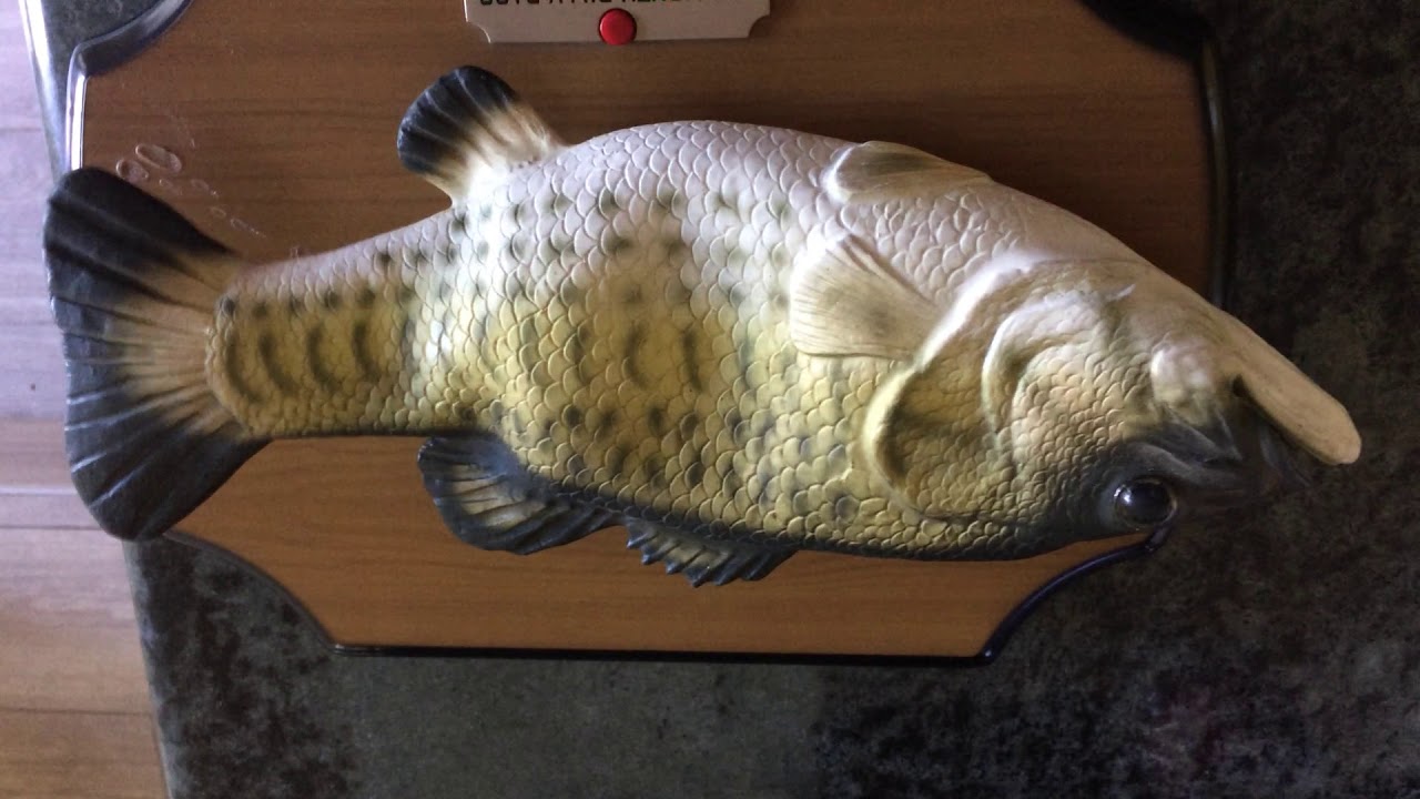 Singing Big Mouth Billy Bass - YouTube