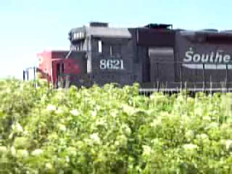 Pacing SP 8621 - YouTube