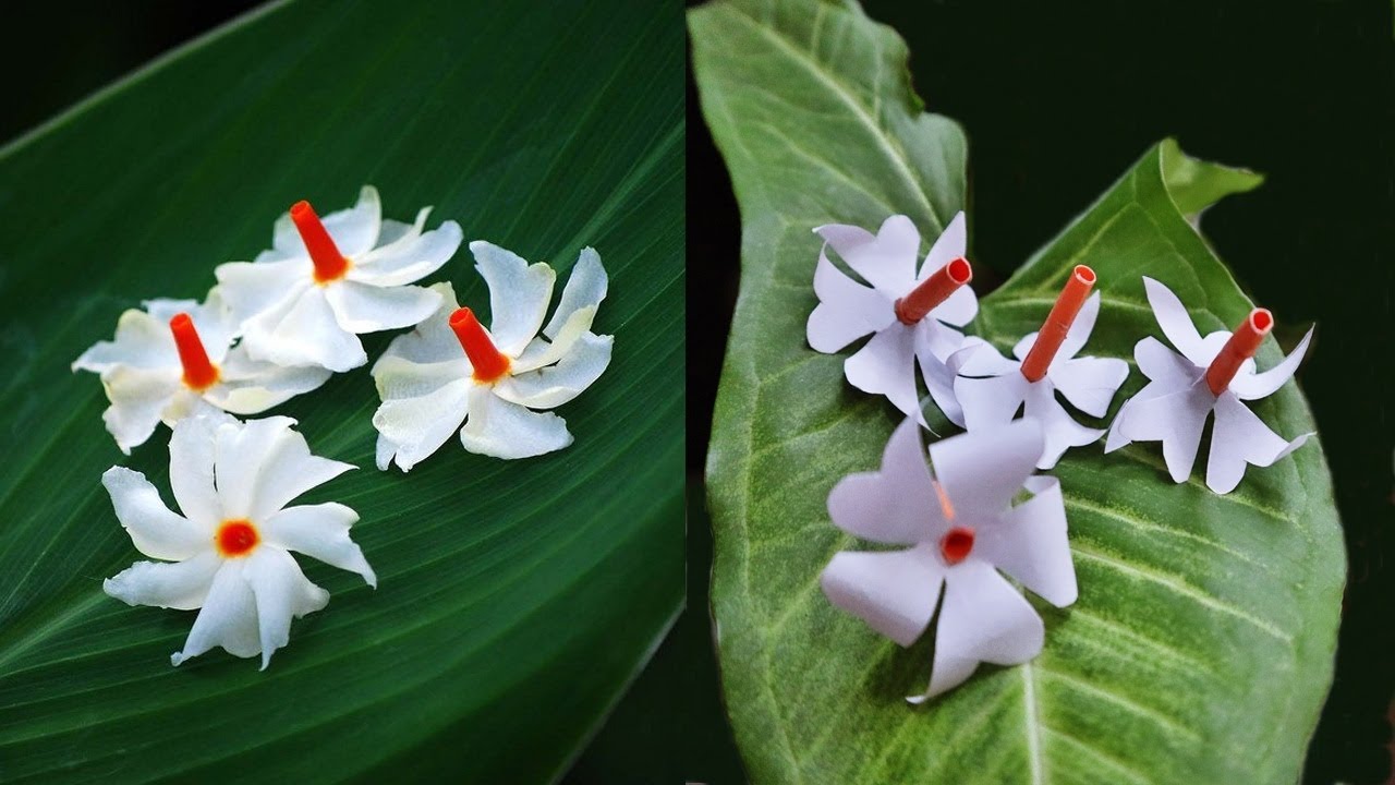 How to make shiuly flower with paper |Paper night jasmine flowers |How ...