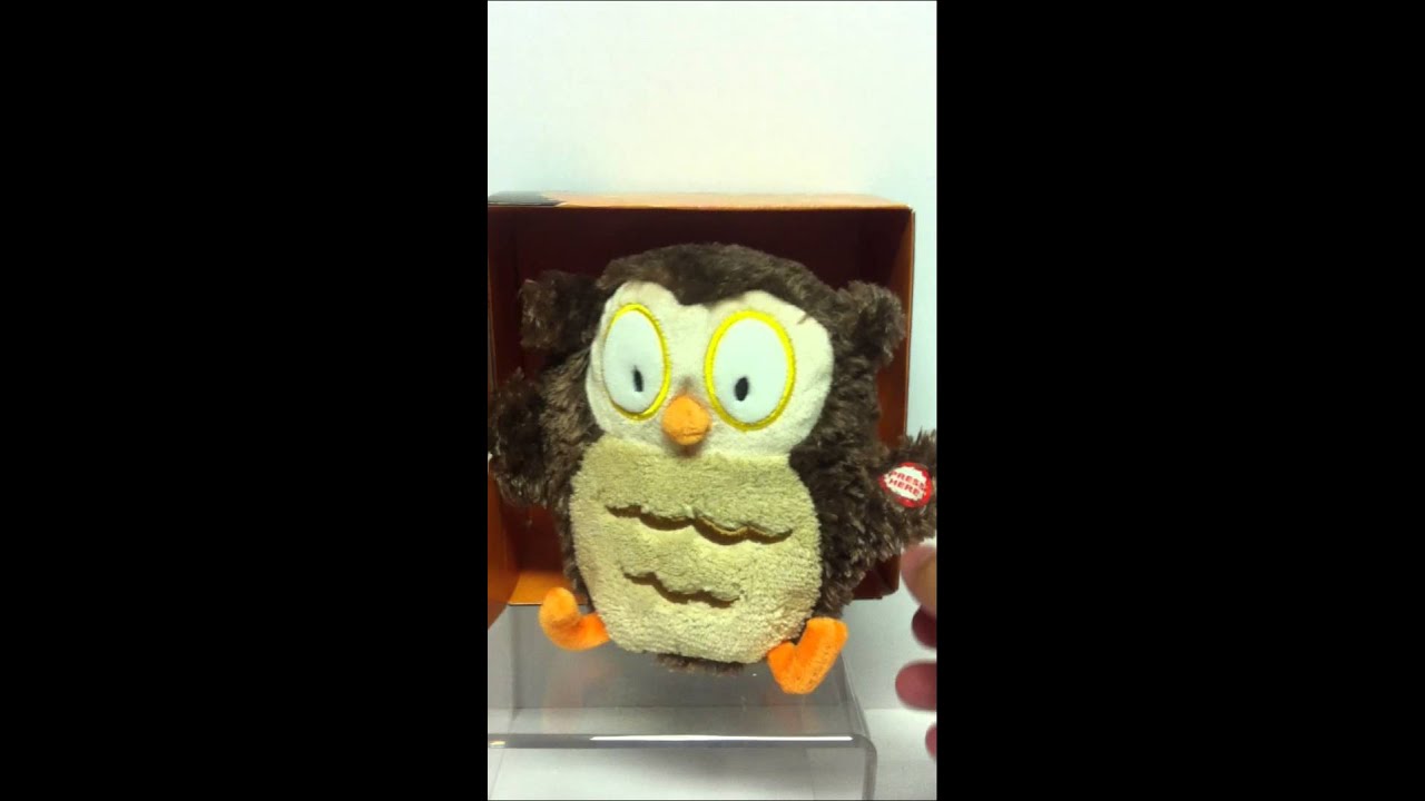The Little Owl that Boo'd Instead of Whoo'd - YouTube