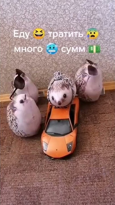 богатые Хренобусы 😎😎😎😎😎 - YouTube