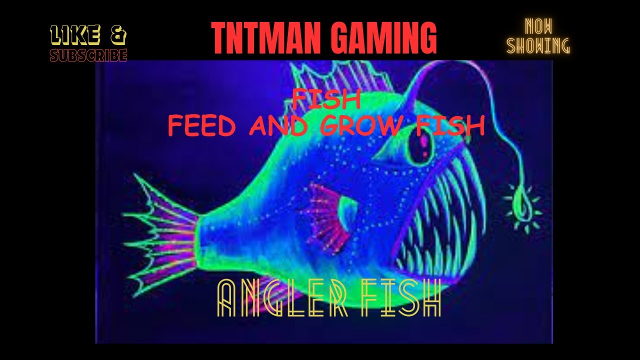 Fish Feed and Grow Fish survival fish gameplay Angler Fish - YouTube