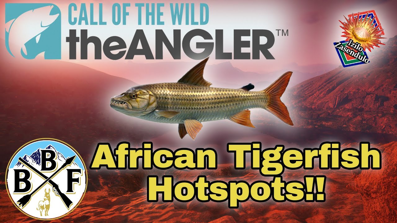 Hotspot Guide: African Tigerfish - Plus Hook Size, Bait & Lure! | Call ...
