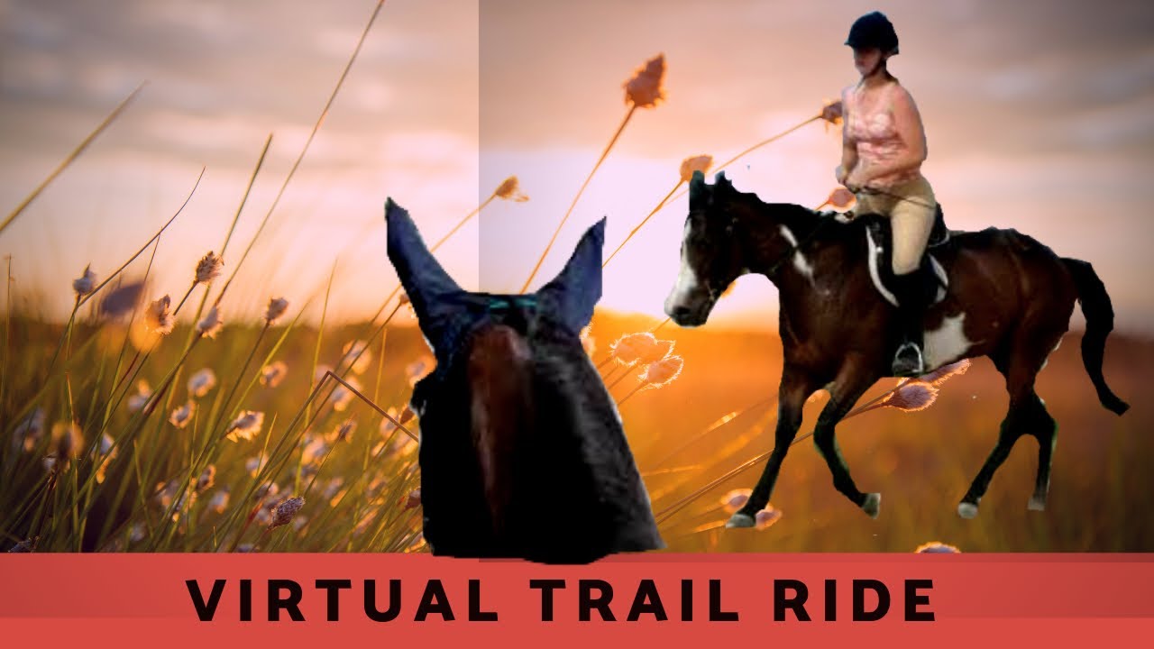 Virtual horseback ride: I rode my horse through town - YouTube